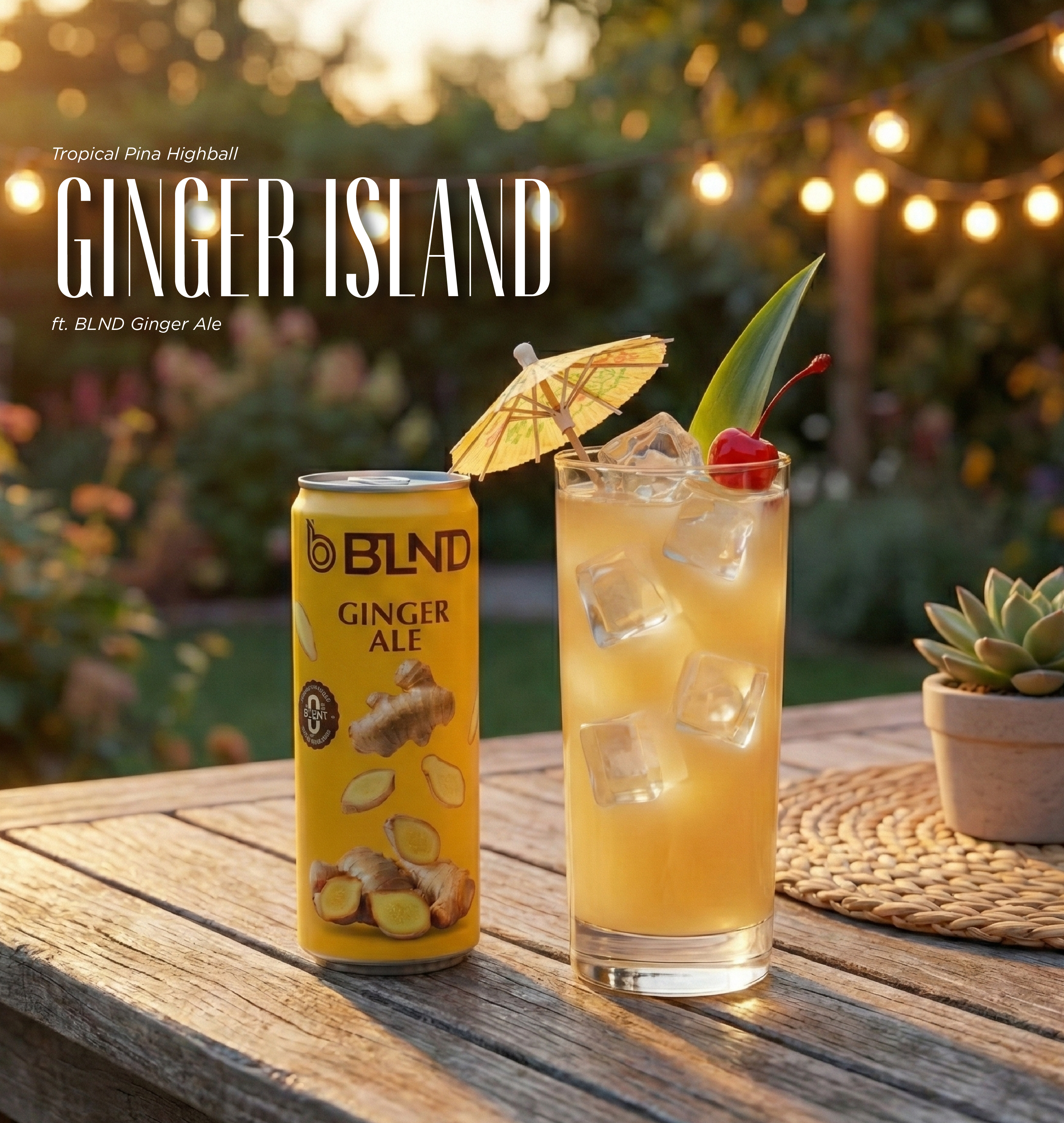 Ginger Island – BLND Water - Smoothens Your Spirits